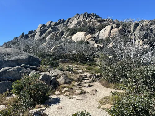 10 Best Trails and Hikes in Mount Buffalo | AllTrails