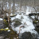 Edgecliff Loop, New York - 327 Reviews, Map | AllTrails