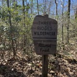 Three Ridges Trail, Virginia - 955 Reviews, Map | AllTrails