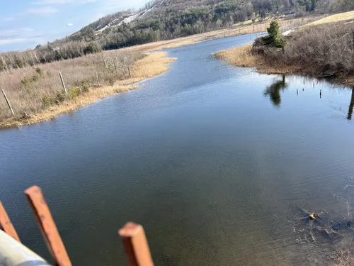 Best Hikes and Trails in Wild Acres Park | AllTrails