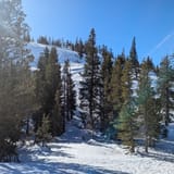 Mount Judah Loop Trail, California - 2,333 Reviews, Map | AllTrails