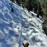 Canyon Loop, Colorado - 1,429 Reviews, Map | AllTrails