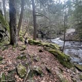 Bear’s Den Falls, Massachusetts - 94 Reviews, Map | AllTrails