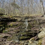 Panther Den Loop, Illinois - 993 Reviews, Map | AllTrails