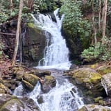 Mouse Creek Falls via Big Creek Trail, Tennessee - 2,629 Reviews, Map ...