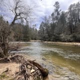 Cartecay River Loop Trail, Georgia - 2,021 Reviews, Map | AllTrails