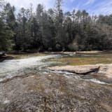 Cartecay River Loop Trail, Georgia - 2,021 Reviews, Map | AllTrails