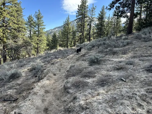 Best Hikes and Trails in Sheridan | AllTrails