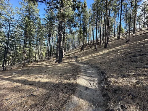 Best Hikes and Trails in Sheridan | AllTrails