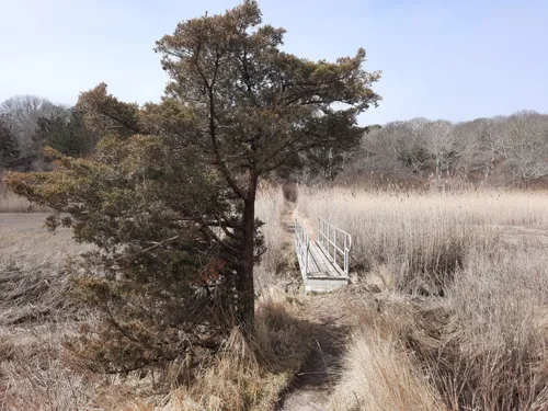 Best Hikes and Trails in Crowes Pasture Conservation Area | AllTrails