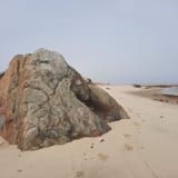 Crowes Pasture Conservation Area Loop, Massachusetts - 192 Reviews, Map ...