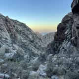 Rabbit Ears Plateau, New Mexico - 156 Reviews, Map | AllTrails