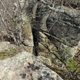 Lockegee Rock, Kentucky - 199 Reviews, Map | AllTrails