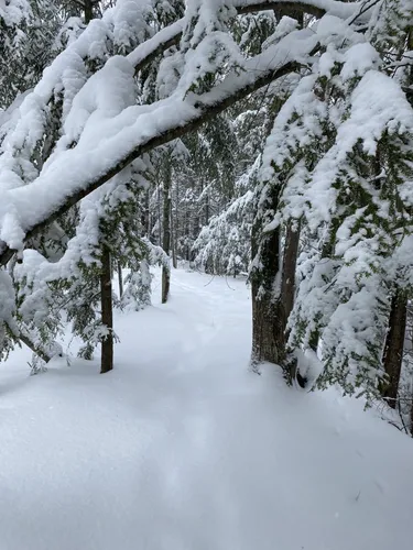Best Hikes and Trails in Big Ravine Nature Preserve | AllTrails