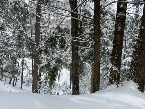 Best Hikes and Trails in Big Ravine Nature Preserve | AllTrails