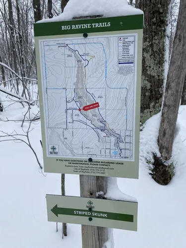 Best Hikes and Trails in Big Ravine Nature Preserve | AllTrails
