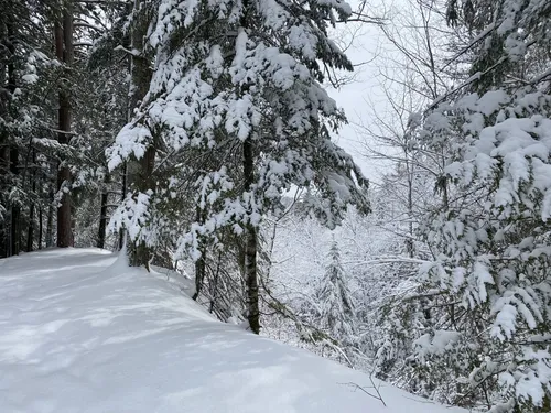 Best Hikes and Trails in Big Ravine Nature Preserve | AllTrails