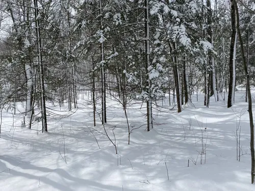 Best Hikes and Trails in Big Ravine Nature Preserve | AllTrails