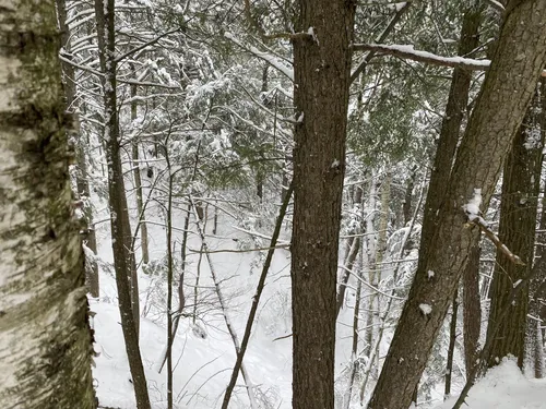 Best Hikes and Trails in Big Ravine Nature Preserve | AllTrails