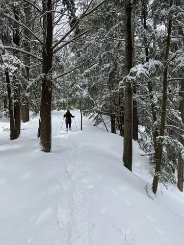 Best Hikes and Trails in Big Ravine Nature Preserve | AllTrails