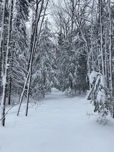 Best Hikes and Trails in Big Ravine Nature Preserve | AllTrails