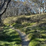 Charlotte Pass Circuit via Mount Twynam and Illawong, New South Wales ...