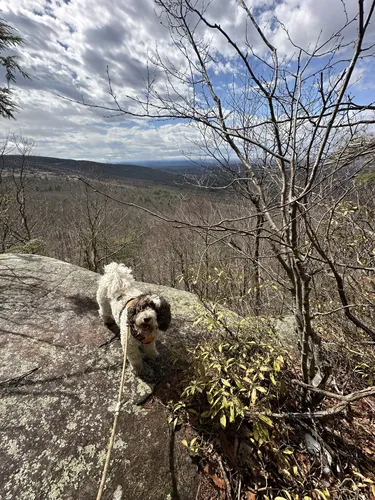 Best Hikes and Trails in Northfield Mountain Recreation and ...