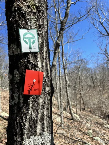 Best Hikes and Trails in Taum Sauk Mountain State Park | AllTrails