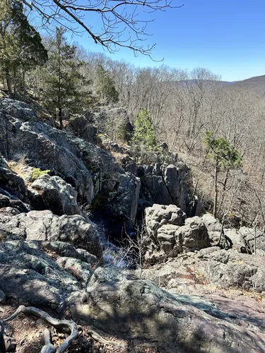 Best Hikes and Trails in Taum Sauk Mountain State Park | AllTrails