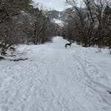 Neff's Canyon Loop, Utah - 2,448 Reviews, Map | AllTrails