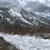 Neff's Canyon Loop, Utah - 2,448 Reviews, Map | AllTrails