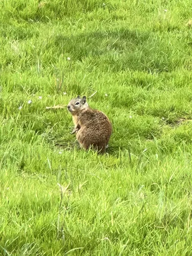 Best Hikes and Trails in Rush Ranch | AllTrails