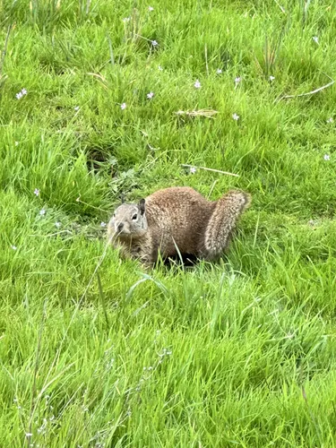 Best Hikes and Trails in Rush Ranch | AllTrails