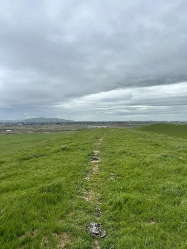 Best Hikes and Trails in Rush Ranch | AllTrails