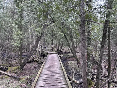 Best Snowshoeing Trails in Rattlesnake Point Conservation Area | AllTrails