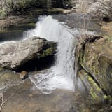Greeter Falls Loop, Tennessee - 1,127 Reviews, Map | AllTrails