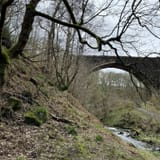 Beamish Park and Causey Arch Circular, County Durham, England - 436 ...