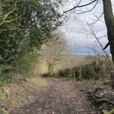 Beamish Park and Causey Arch Circular, County Durham, England - 436 ...