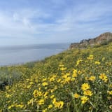 Terranea Discovery Trail, California - 1,414 Reviews, Map | AllTrails