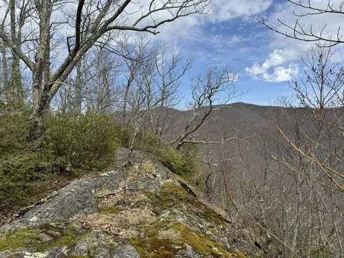 Best Camping Trails in Middle Prong Wilderness | AllTrails
