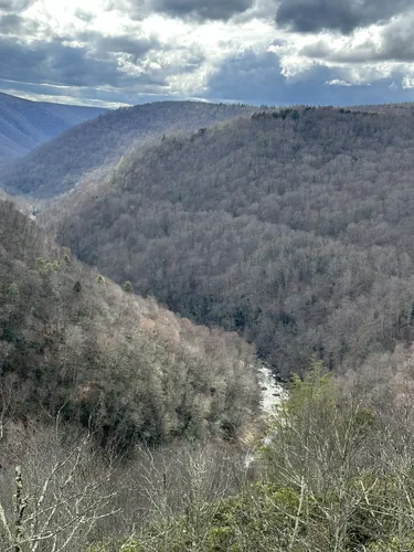 Best Lake Trails in Blackwater Falls State Park | AllTrails