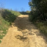 Nike Hill, California - 2,047 Reviews, Map | AllTrails