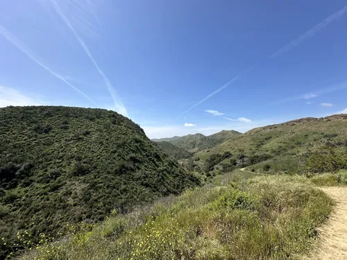 Best Trail Running Trails in Santa Rosa Valley | AllTrails