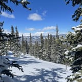 Chief Mountain Trail, Colorado - 8,387 Reviews, Map | AllTrails