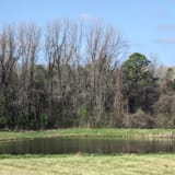 River to River Trail, Illinois - 218 Reviews, Map | AllTrails