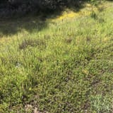 Three Sisters Road Loop, California - 81 Reviews, Map | AllTrails