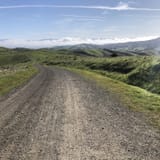 Three Sisters Road Loop, California - 81 Reviews, Map | AllTrails