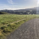 Three Sisters Road Loop, California - 81 Reviews, Map | AllTrails