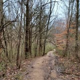 Flat Fork Ridge Trail, Ohio - 1,215 Reviews, Map | AllTrails