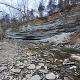 Flat Fork Ridge Trail, Ohio - 1,215 Reviews, Map | AllTrails